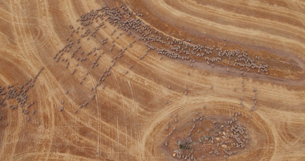 farm on Darkan South Road, Darkan, Western Australia - Drone Photography