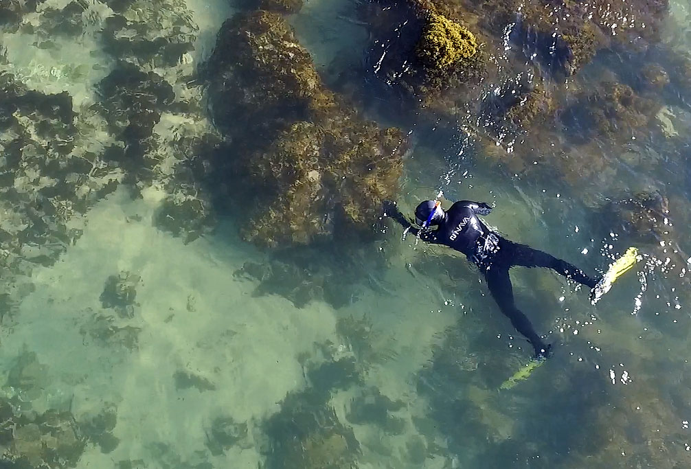 Diving at Albufeira - Drone Photography