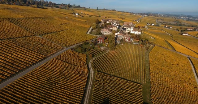 Féchy Switzerland - Drone Photography